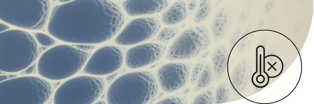 GOODIE by CANNUMO – Award-Winning Fermented Drink for Gut Health – Cannumo