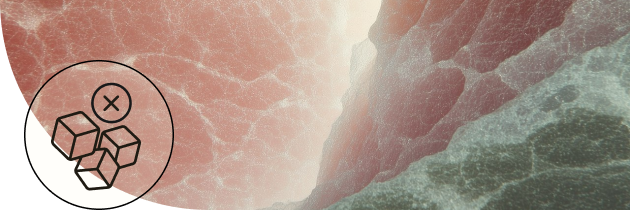 GOODIE by CANNUMO – Award-Winning Fermented Drink for Gut Health – Cannumo